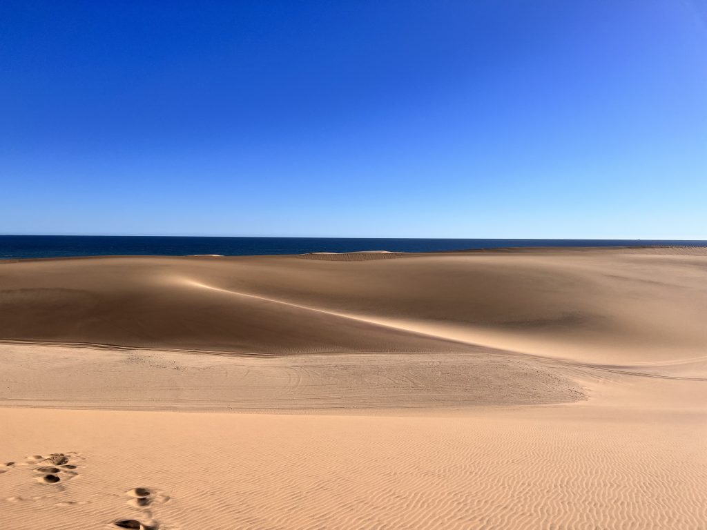 Namibia 2024 - Desert Dunes, Coastal Charms, Timeless Allure